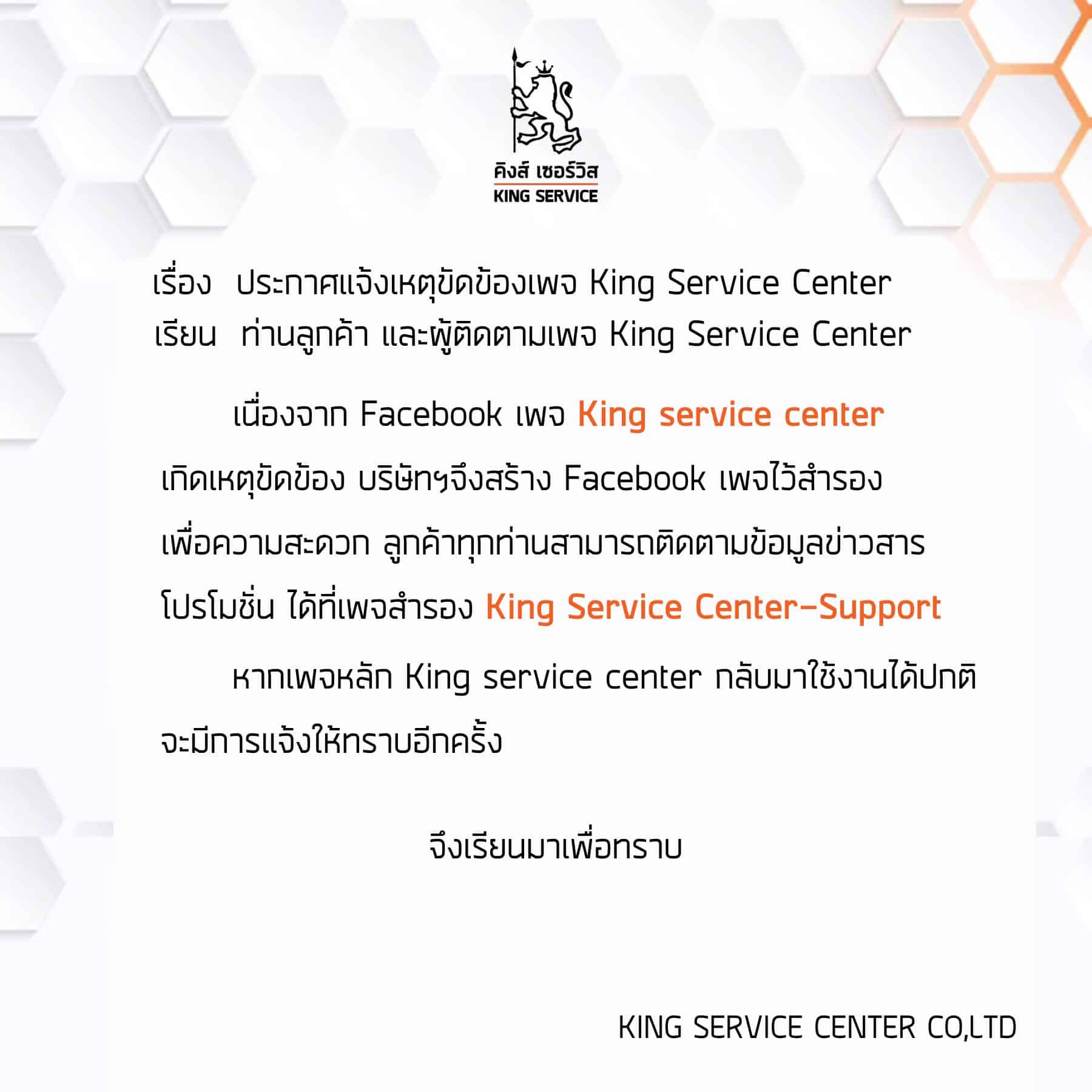 บริการกำจัดปลวก กำจัดแมลง สัตว์รบกวน – King Service Center